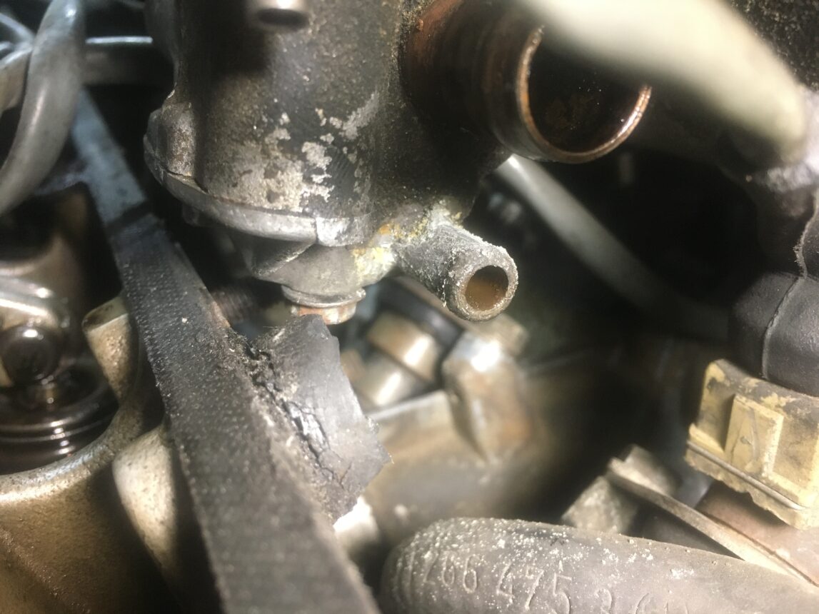 Rene Gets Some R And R (Part III) - BimmerLife