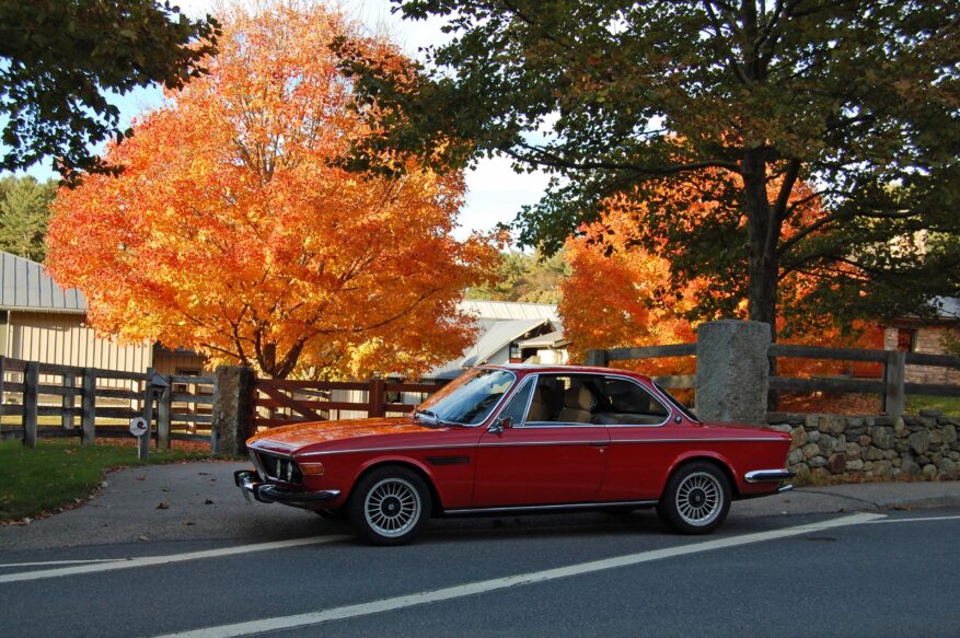The Parade of Fall - BimmerLife
