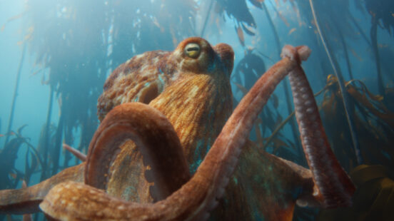 Explaining BMW's Heart of Joy: Well, It's Kind Of Like an Octopus ...